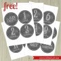 Free Printable Baby Milestone Stickers